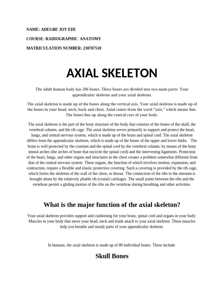 Axial Skeleton Assignment | PDF | Pelvis | Skull