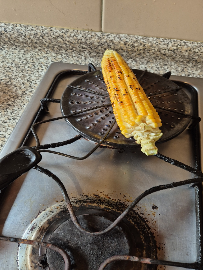 Gallery 20250628 144415 | PDF