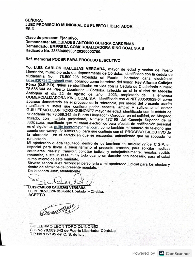 Poder Luis Carlos Proceso Puerto | PDF