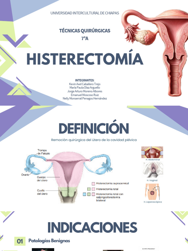 Técnicas De Histerectomía Quirúrgica Pdf útero Vagina