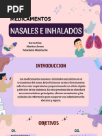 Inserto Respirex | PDF | Alergia | Corticosteroides