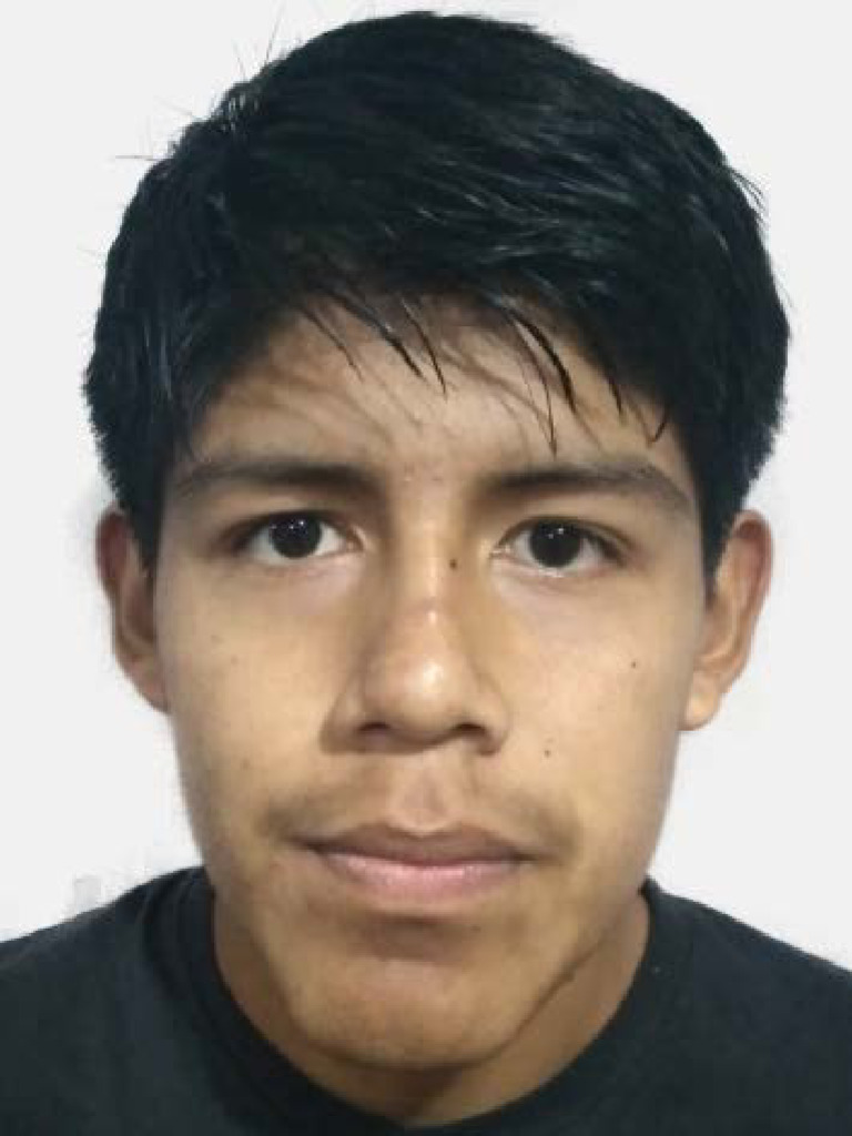 Pi7 Passport Photo+ | PDF