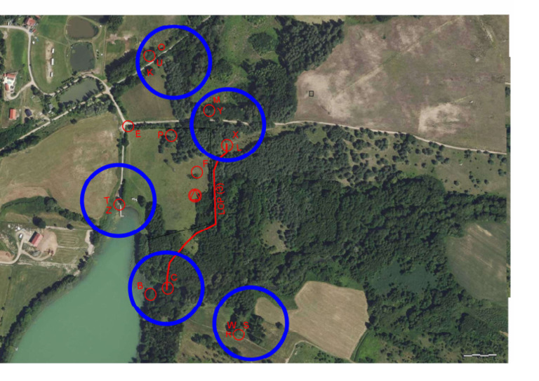 WZORCOWKA TP Orto | PDF