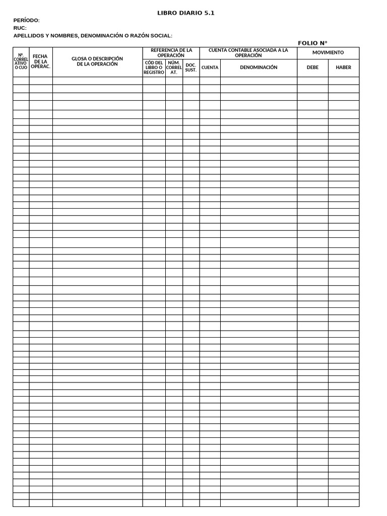 Libro Diario Formato | PDF