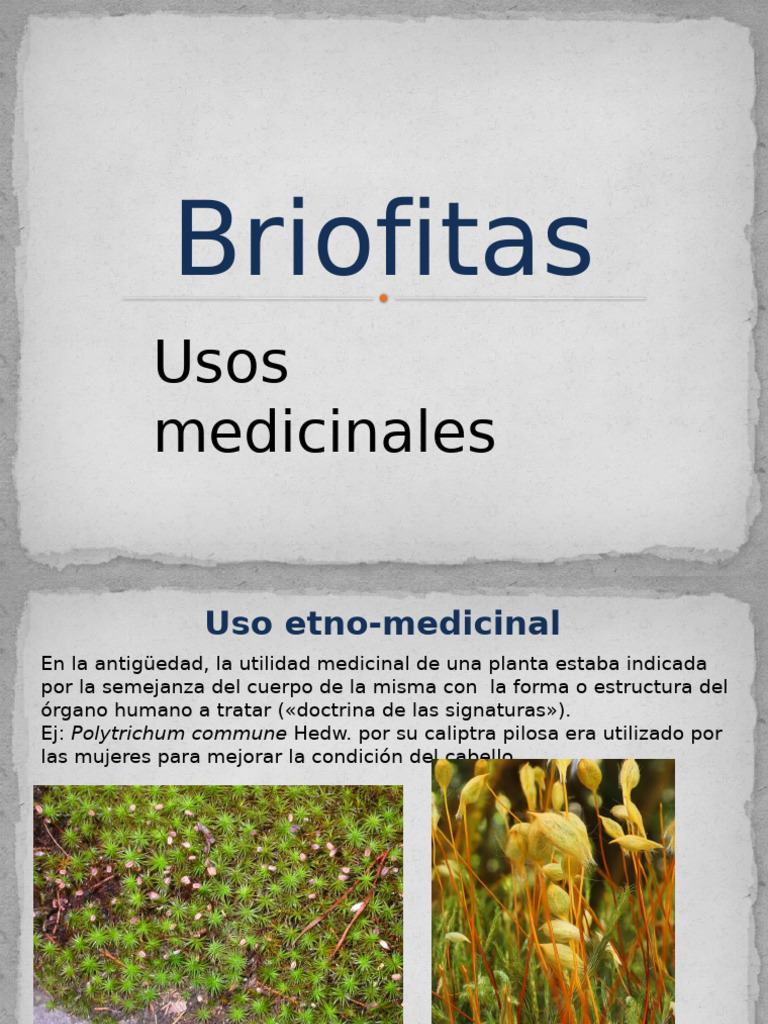 Usos medicinales de las briofitas | PDF | Cáncer