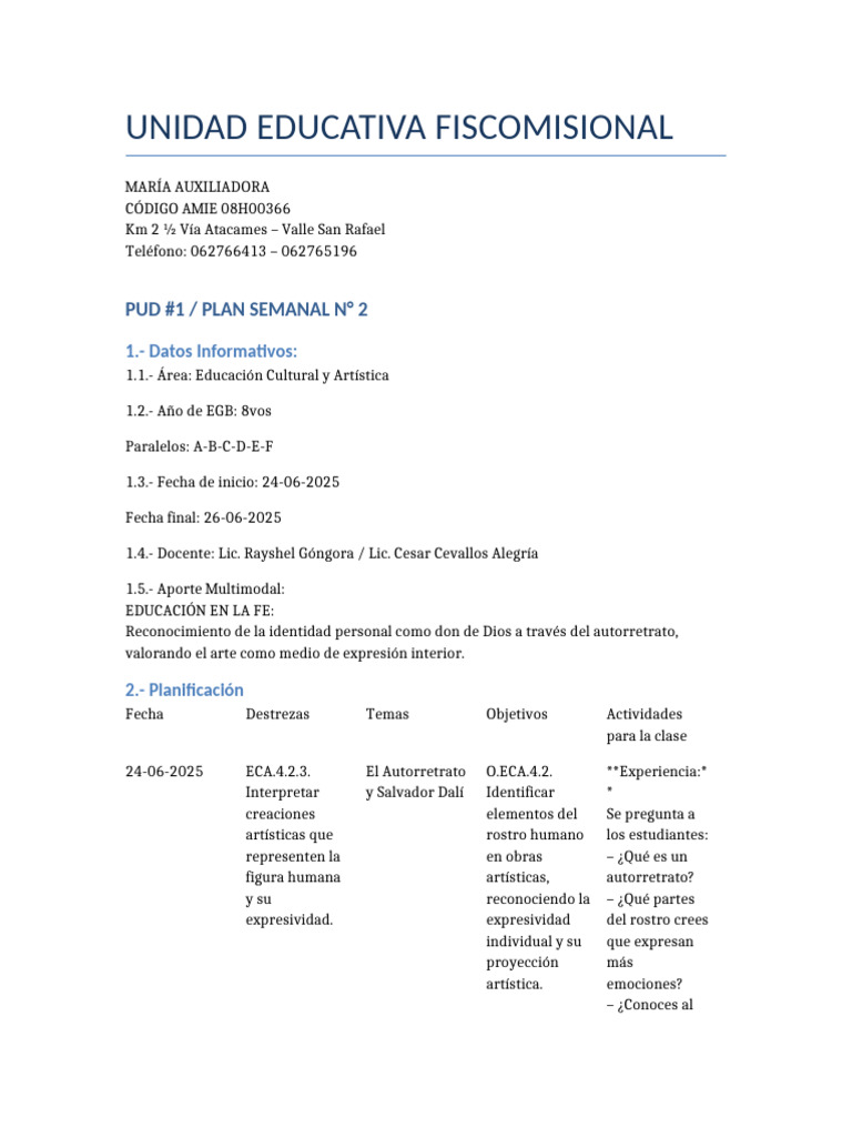 Planificación Autorretrato 8vo EGB | PDF