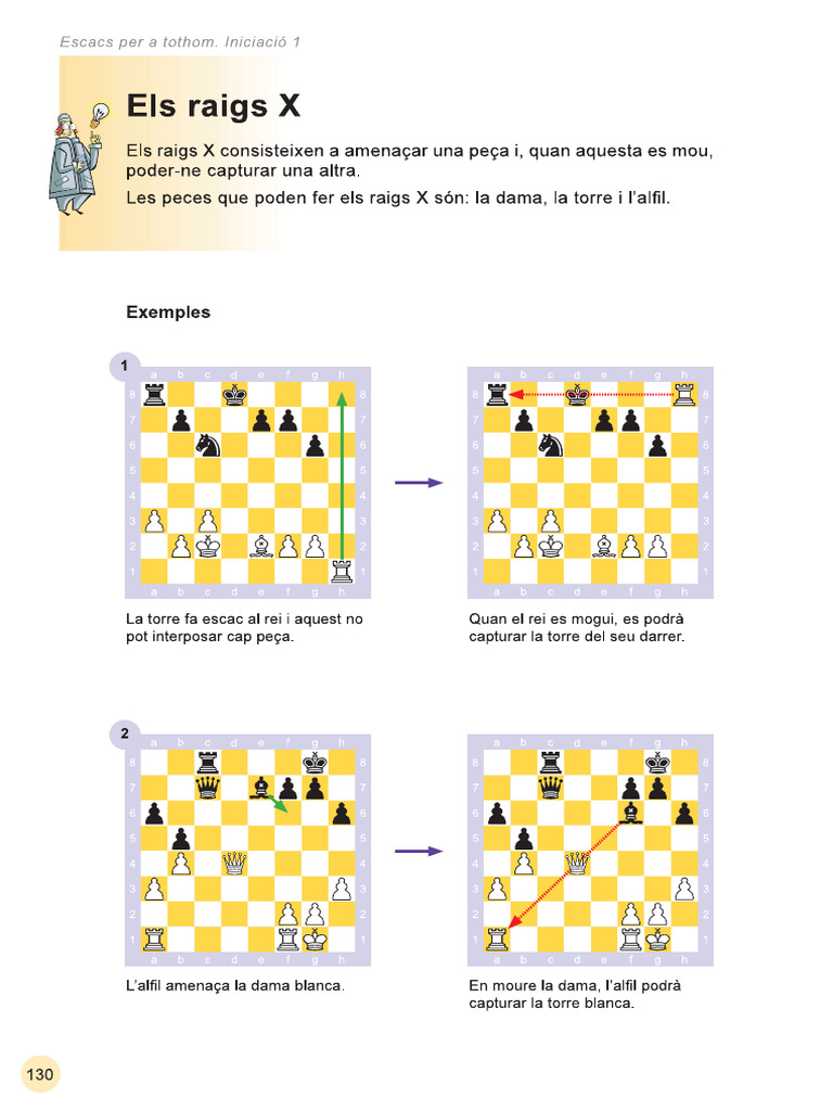 118 Raigs X | PDF