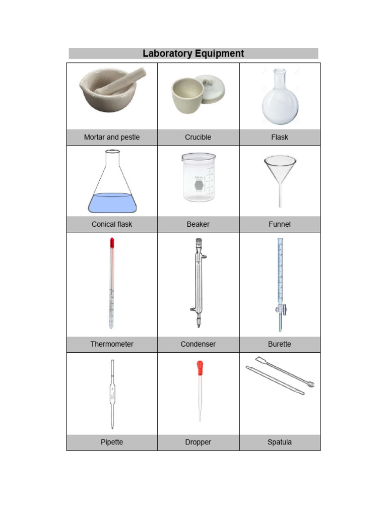 Essential Laboratory Equipment List | PDF