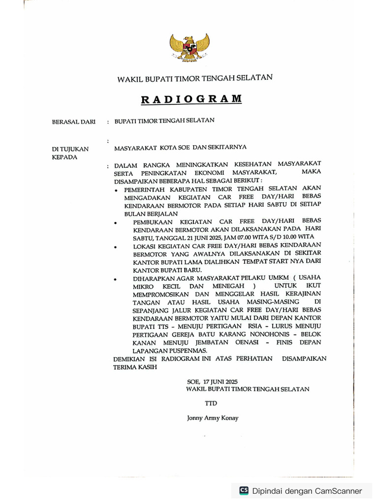 Radiogram CFD | PDF