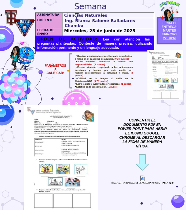 9238 Semana 7 CCNN Actividad Extraclase 3 | PDF
