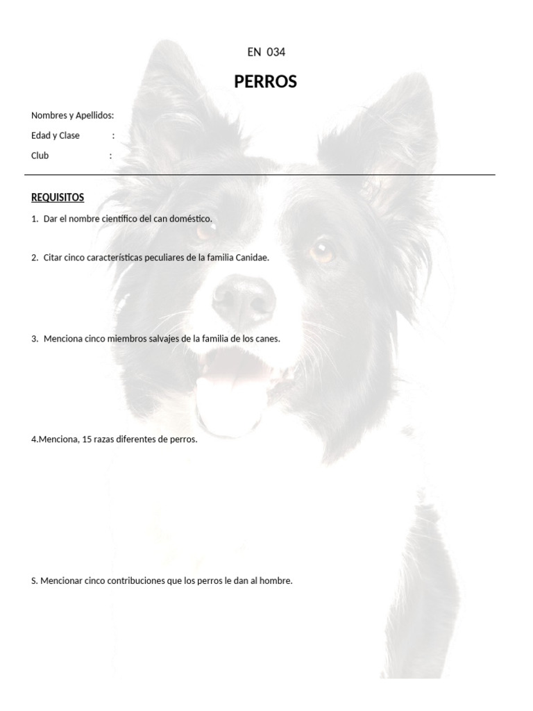 En 034 - Perros | PDF