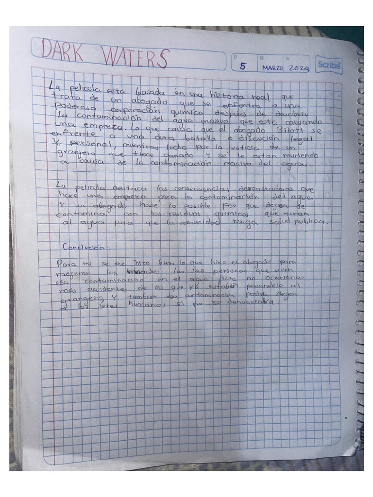 IMG 0110 Comprimido | PDF