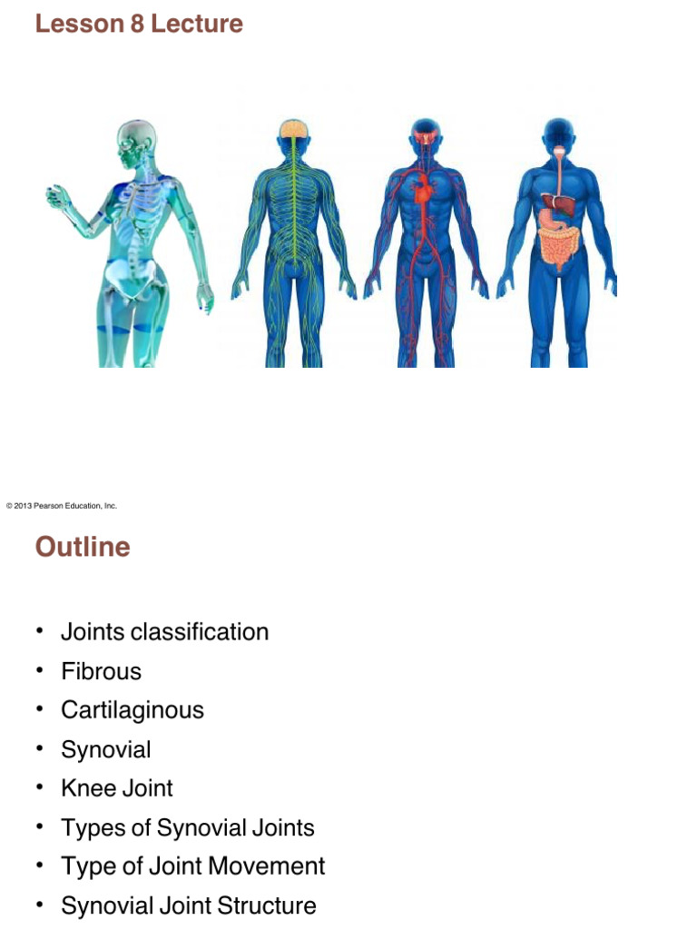 Understanding Joint Types and Movements | PDF | Joint | Bone