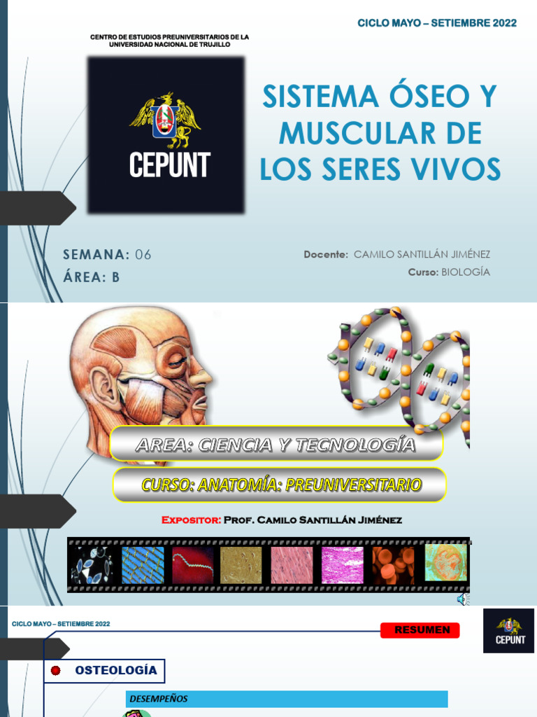 Osteología Humana: Sistema Óseo y Muscular | PDF | Hueso | Esqueleto