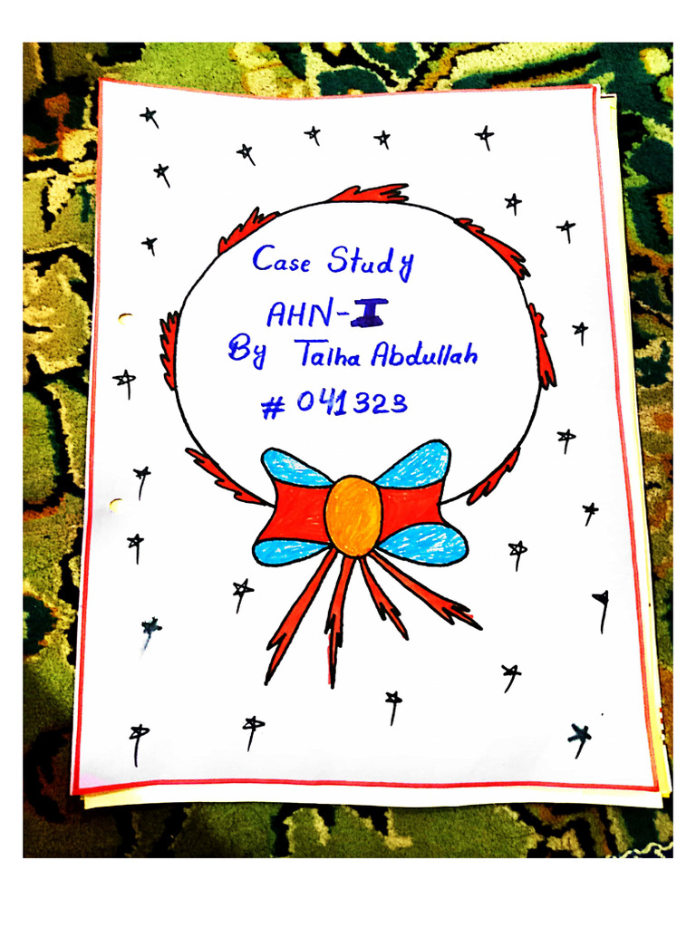 AHN 1 Portfolio | PDF