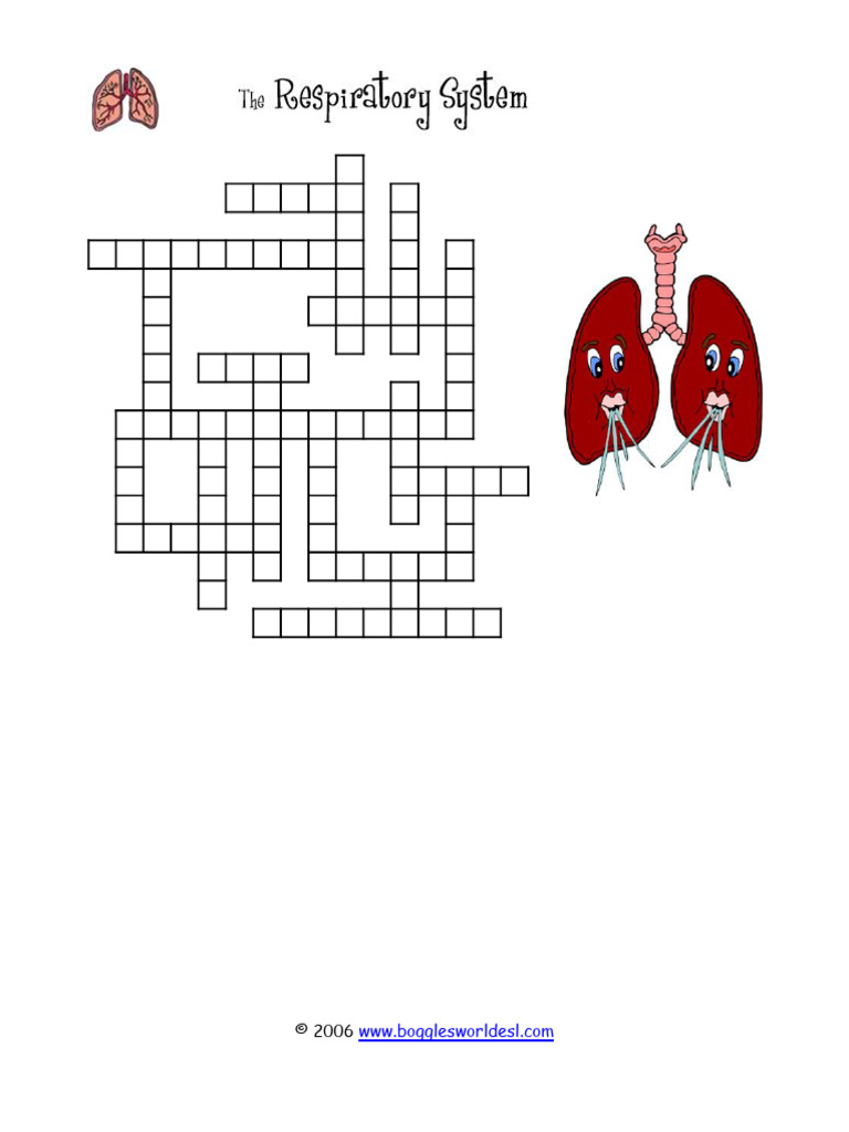 Respiratorysystem Crossword | PDF
