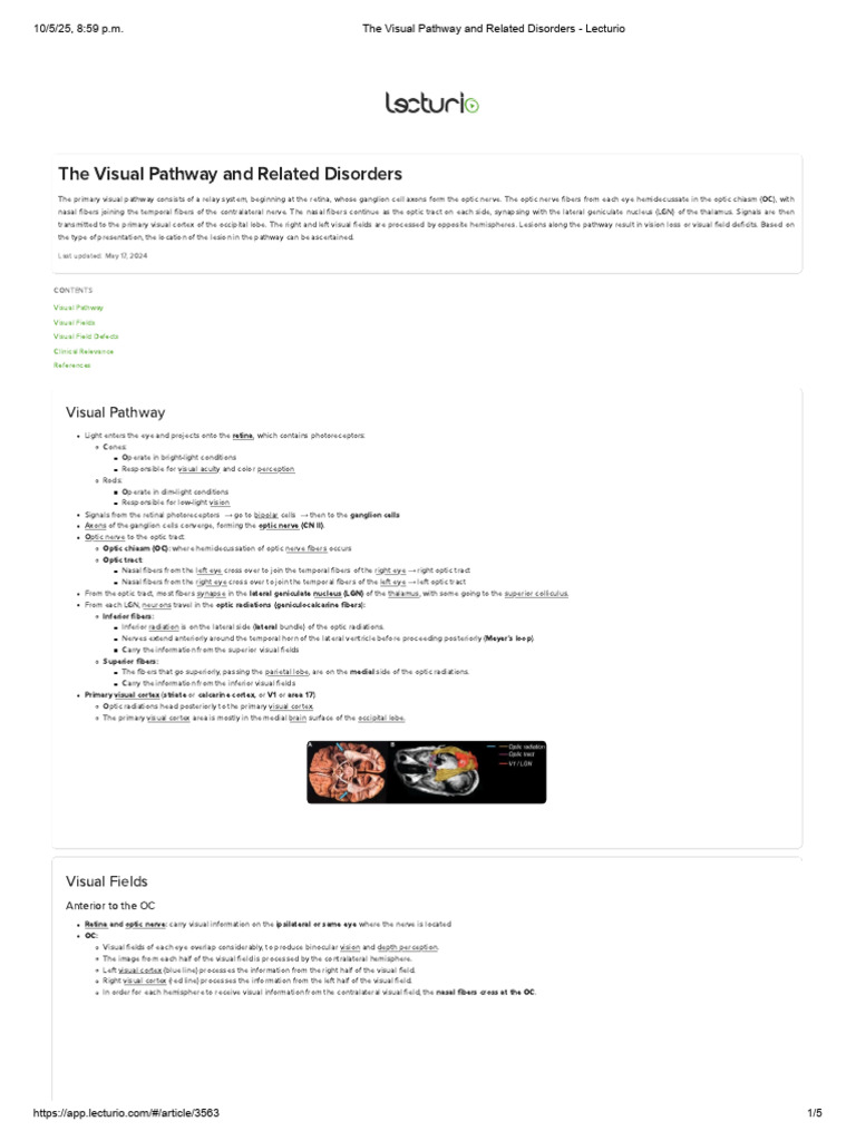 The Visual Pathway and Related Disorders - Lecturio | PDF | Visual System | Visual Cortex