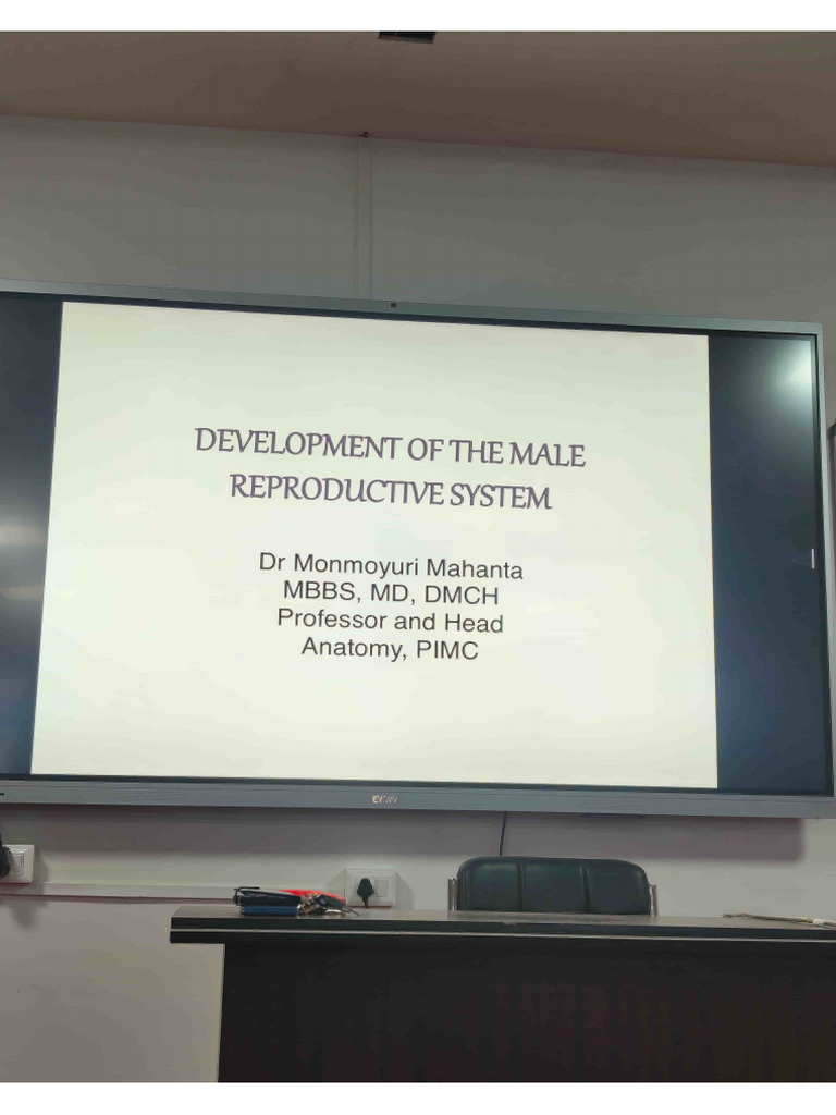 Dev Repro System DR MM 5 May 25 (Mon) | PDF