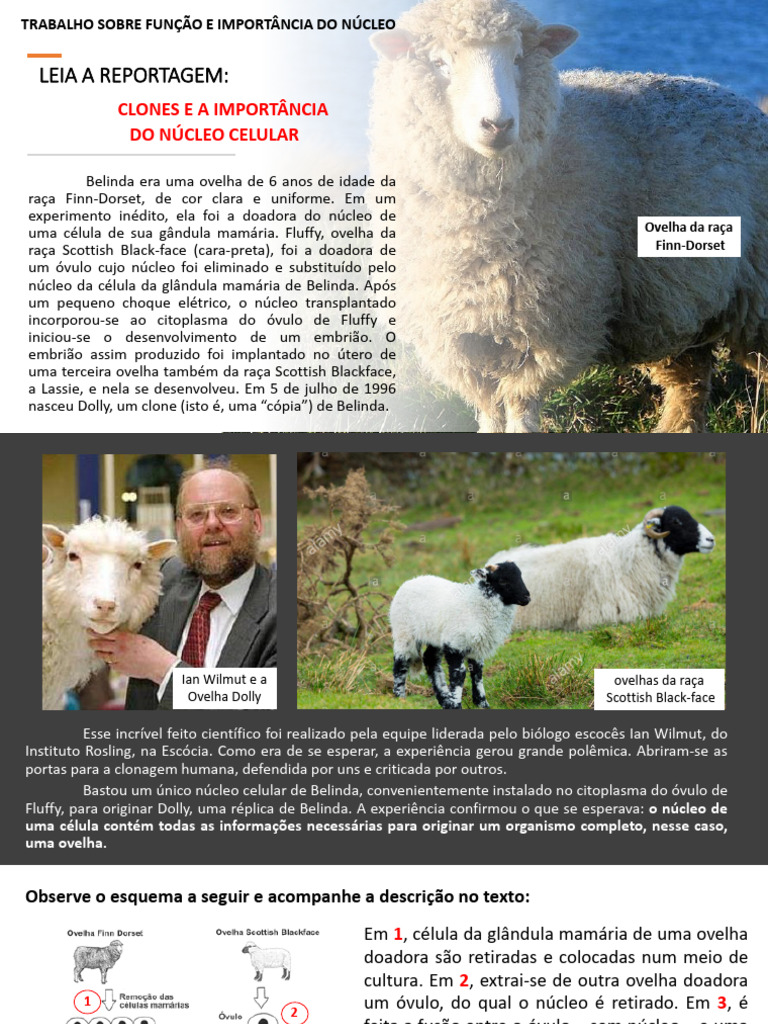 Clonagem Dolly | PDF | Clonagem | Biologia