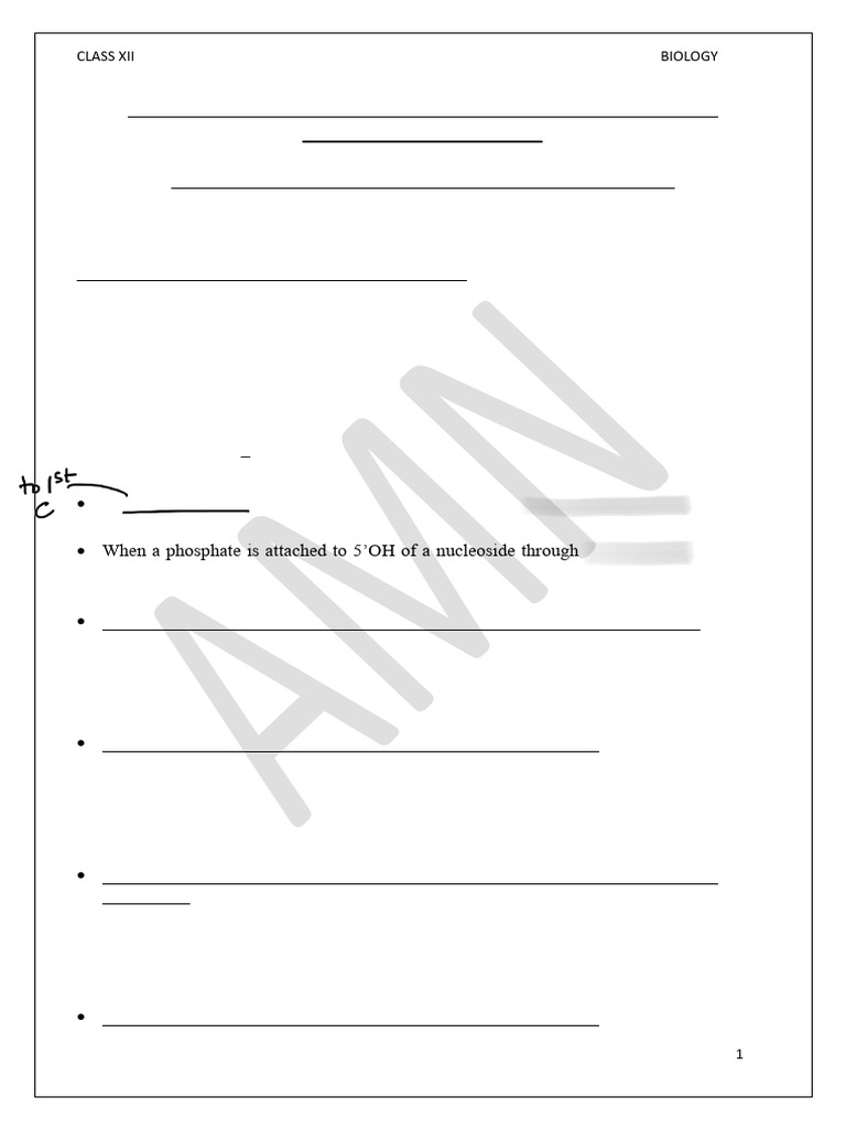 Molecular Basis of Inheritance | PDF | Chromatin | Nucleotides