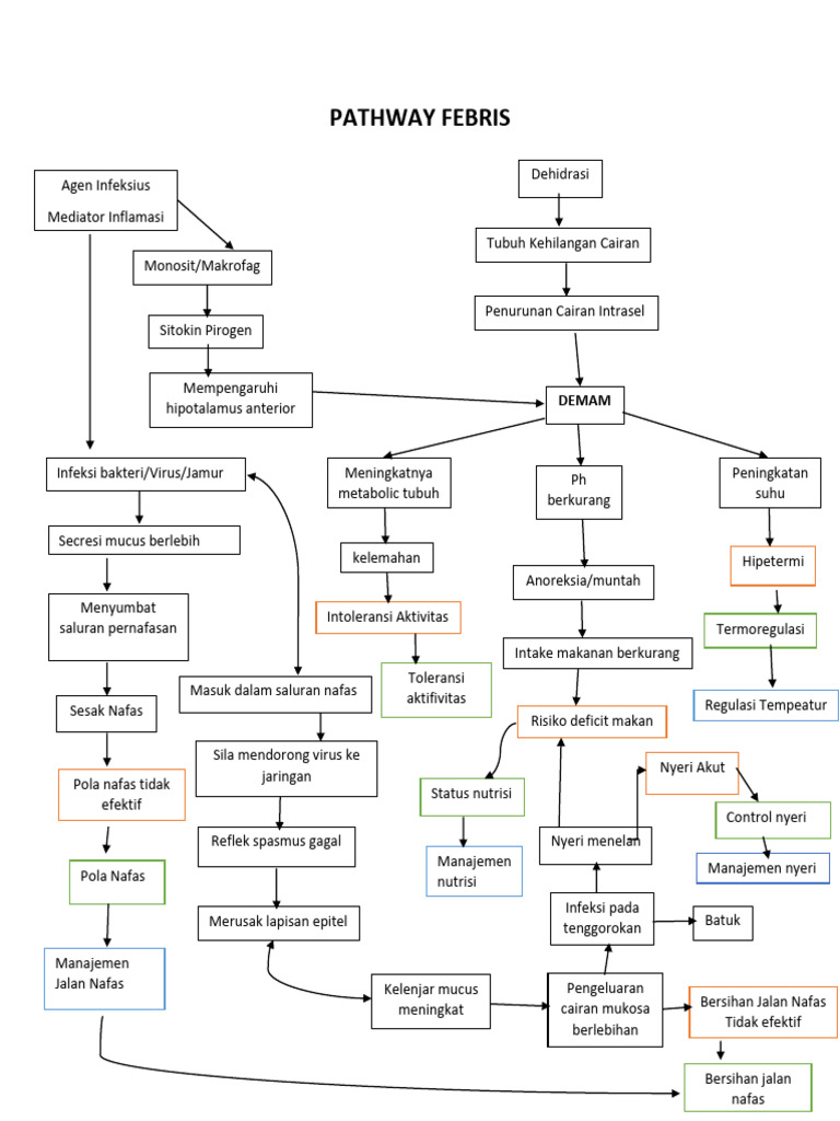 Pathway Febris | PDF