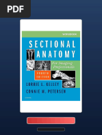 IPCR Rating Scale Guidelines 2023 | PDF | Computing