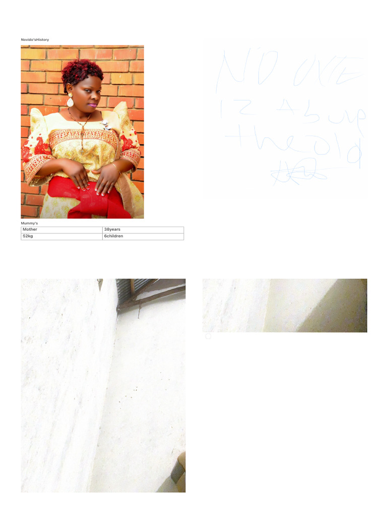 Novido's History | PDF