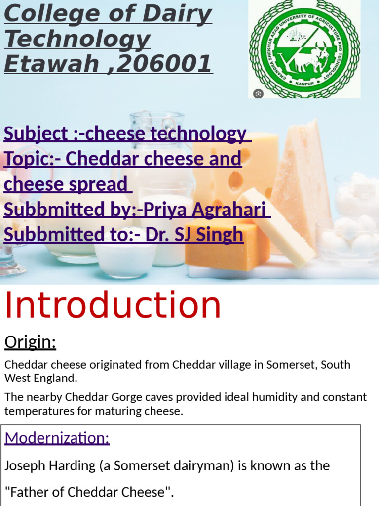 Cheddar Cheese Production Overview | PDF | Cheese | Cheddar Cheese