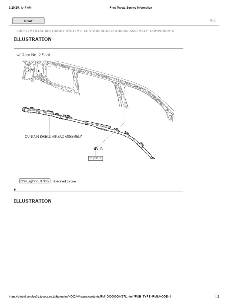 Supplemental Restraint Systems Curtain Shield Airbag Assembly ...
