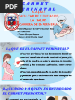 Carnet Perinatal para Atencion de La Mujer Embarazada | PDF | Embarazo ...