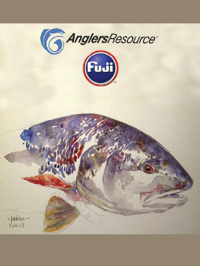 Fuji 2016 Catalog | PDF | Stainless Steel | Materials