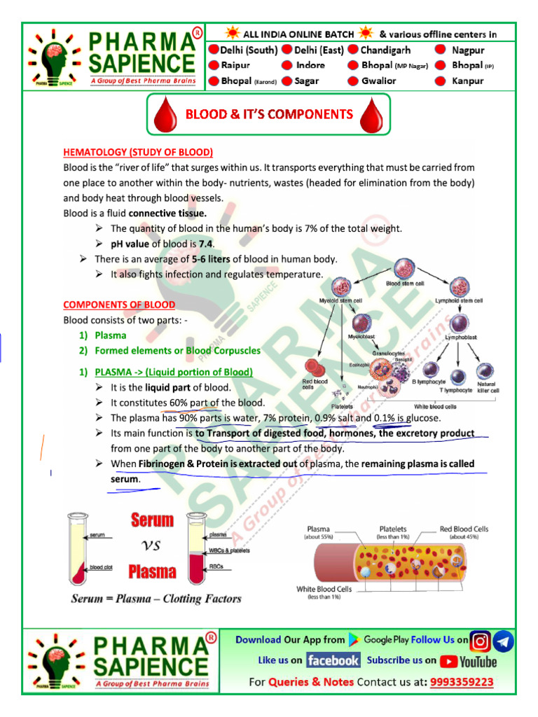 Blood | PDF