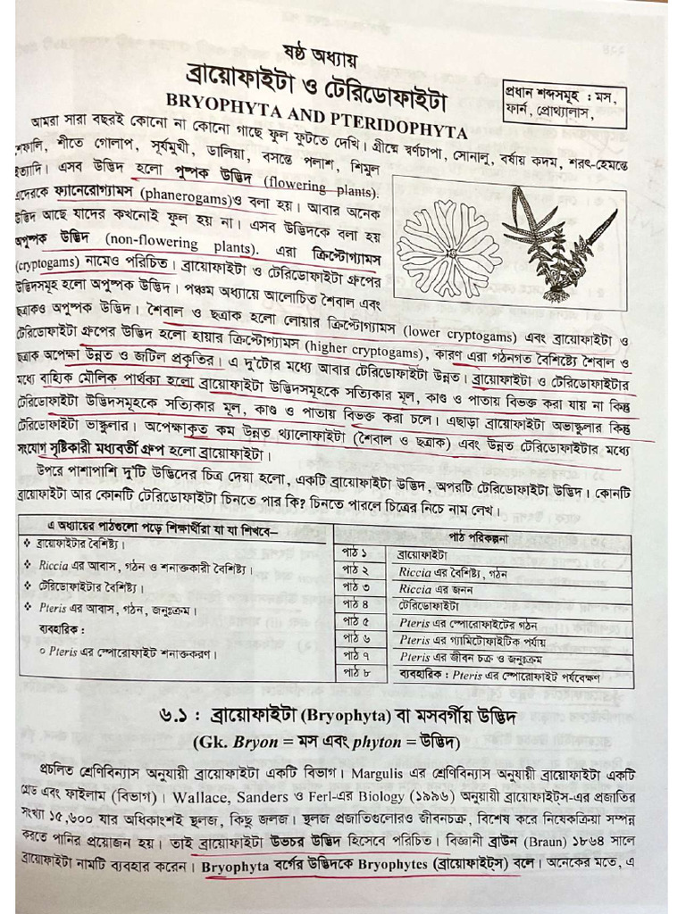 Botany Chapter 6 | PDF