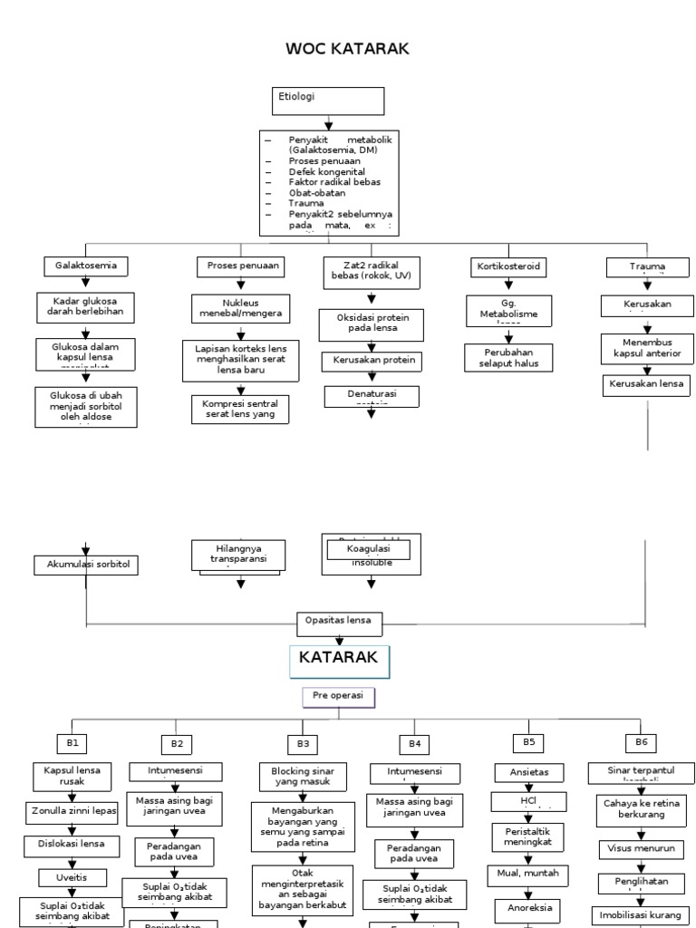 WOC Katarak | PDF