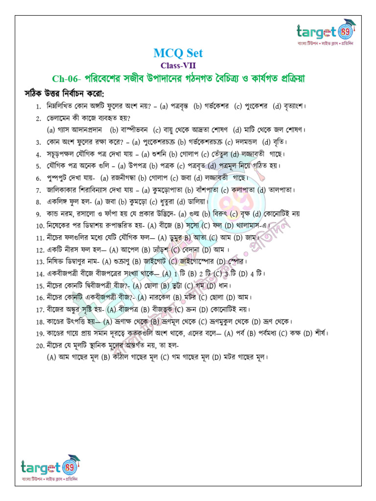 Class Vii, Ch-06, MCQ Set | PDF