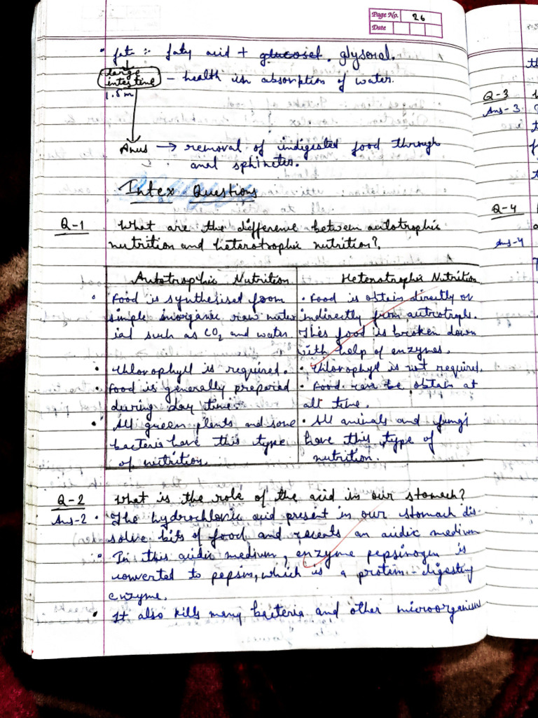 PDFReader 20250628 1443 | PDF