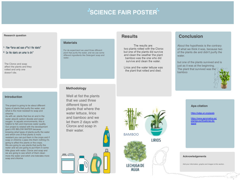 Science Fair Poster | PDF | Water | Bleach