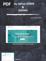 Satusehat SDMK | PDF