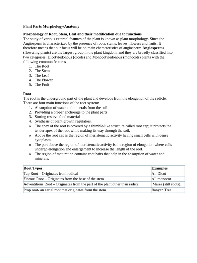 Plant Morphology: Roots, Stems, Leaves | PDF | Leaf | Plant Stem