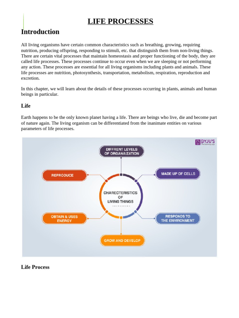 CBSE Class 10 Science Notes For Chapter 6 Life Processes | PDF ...