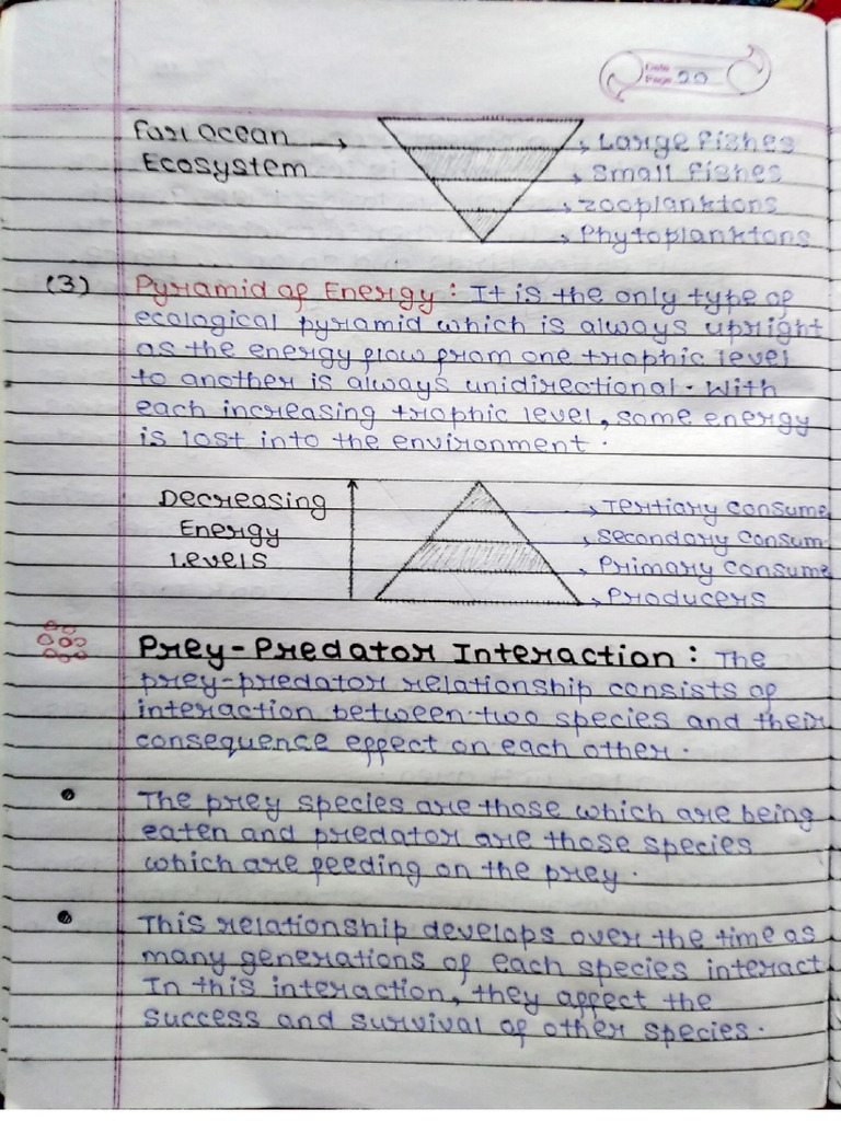 EVS Notes of 'Prey-Predator Interaction' and 'Material Cycle' | PDF