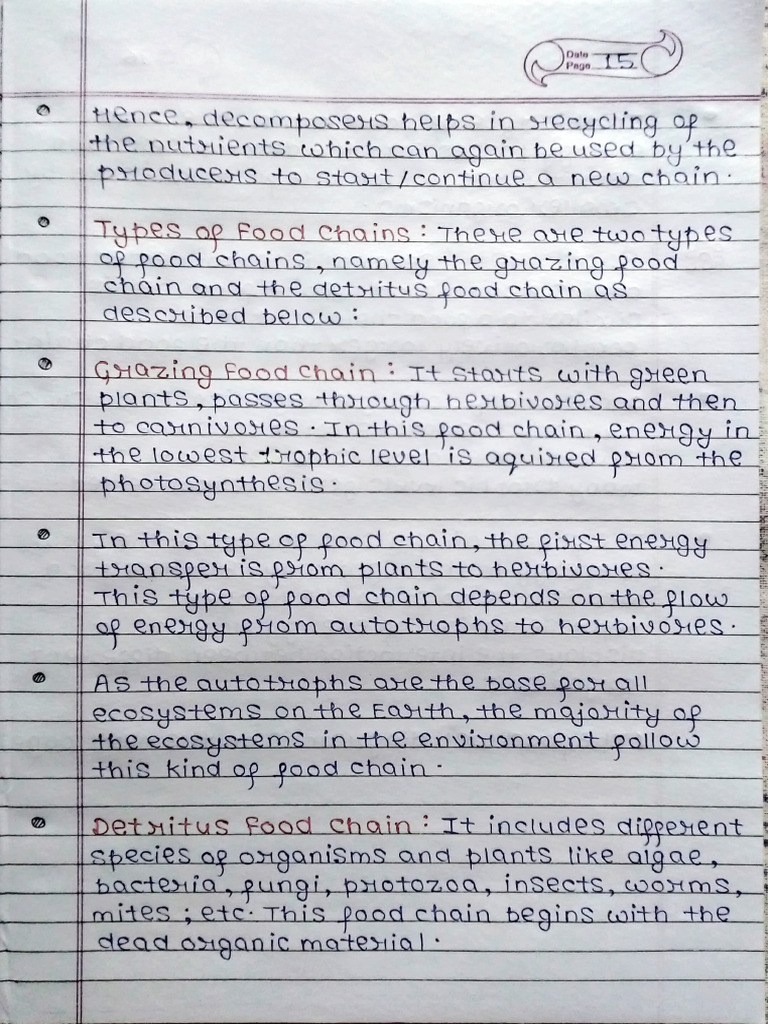 EVS Class Notes Till 'Types of Ecosystem' and 'Food Web' | PDF
