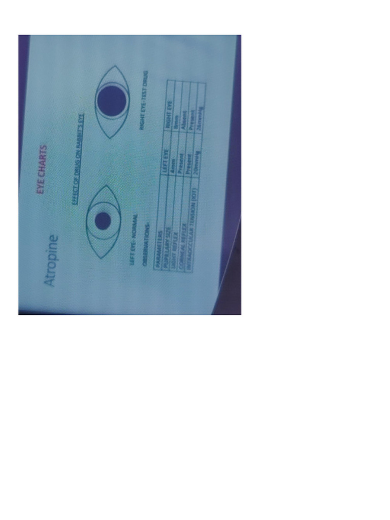 Drug Effects On Rabbit Eye | PDF