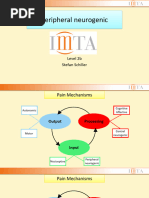 Centralization Vs Peripheralization | PDF