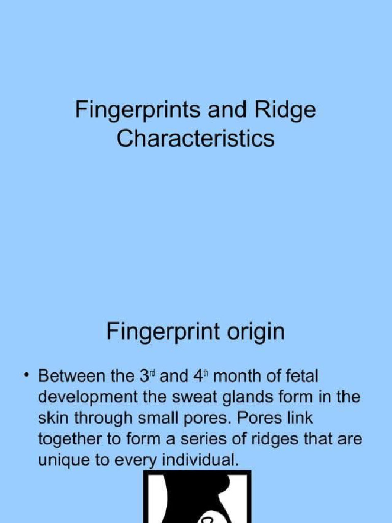 Ridge Characteristics of Fingerprint | PDF