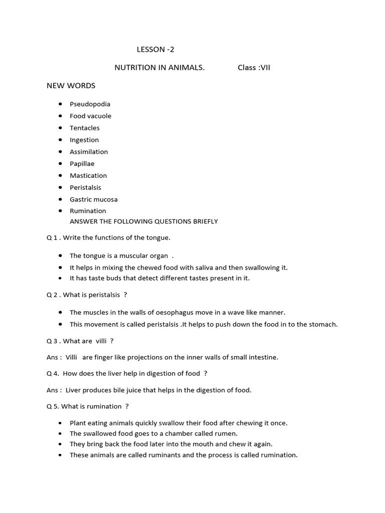 Lesson -2 Nutrition in Animals. Notes | PDF | Digestion | Stomach