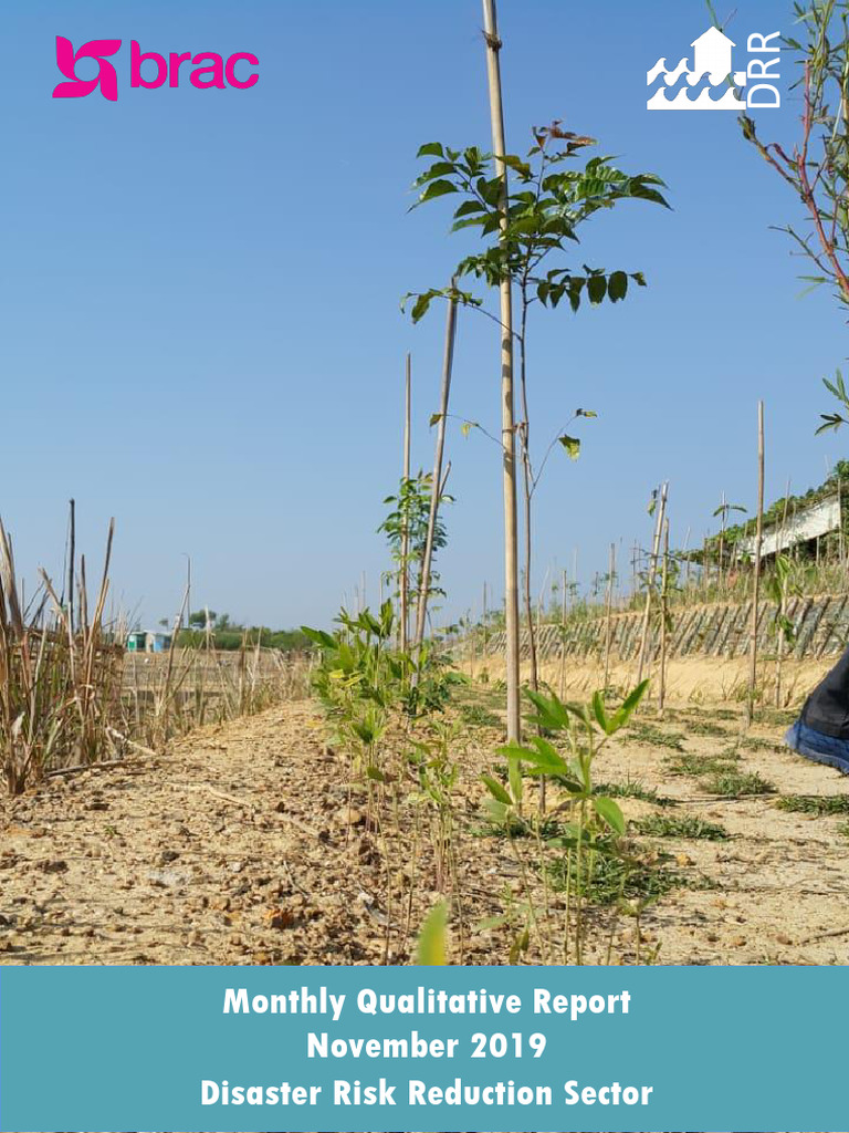 DRR - Monthly Qualitative Report - November 2019 | PDF | Emergency Management | Disaster Risk ...