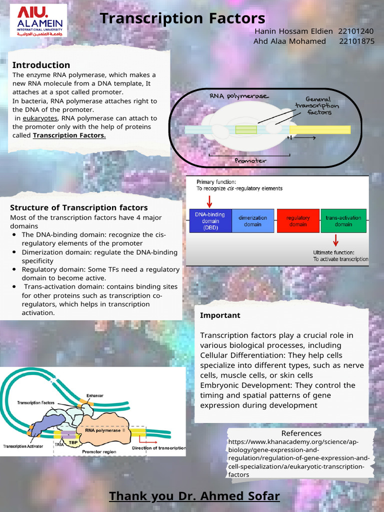 Understanding Transcription Factors | PDF