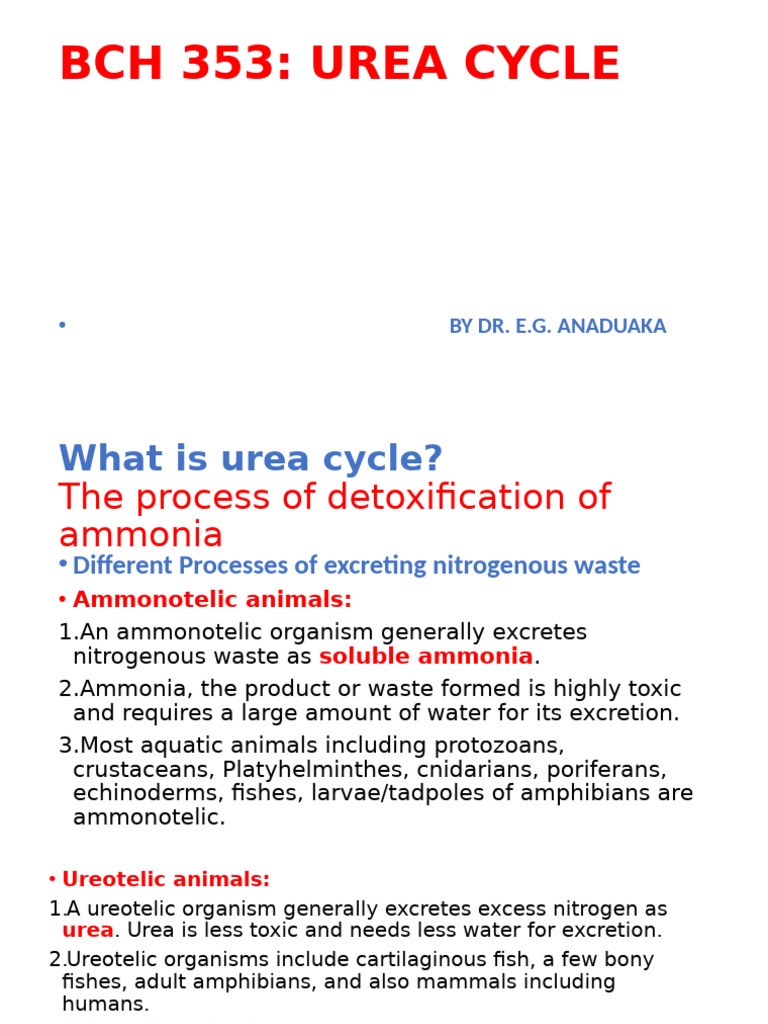 Uricotelic vs Ureotelic Excretion Explained | PDF | Metabolism | Biology