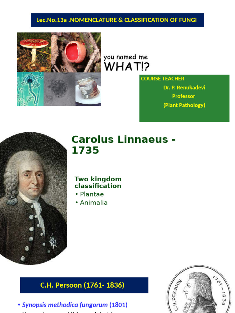 Nomenclature and Classification in Plants | PDF | Fungus | Taxonomy ...